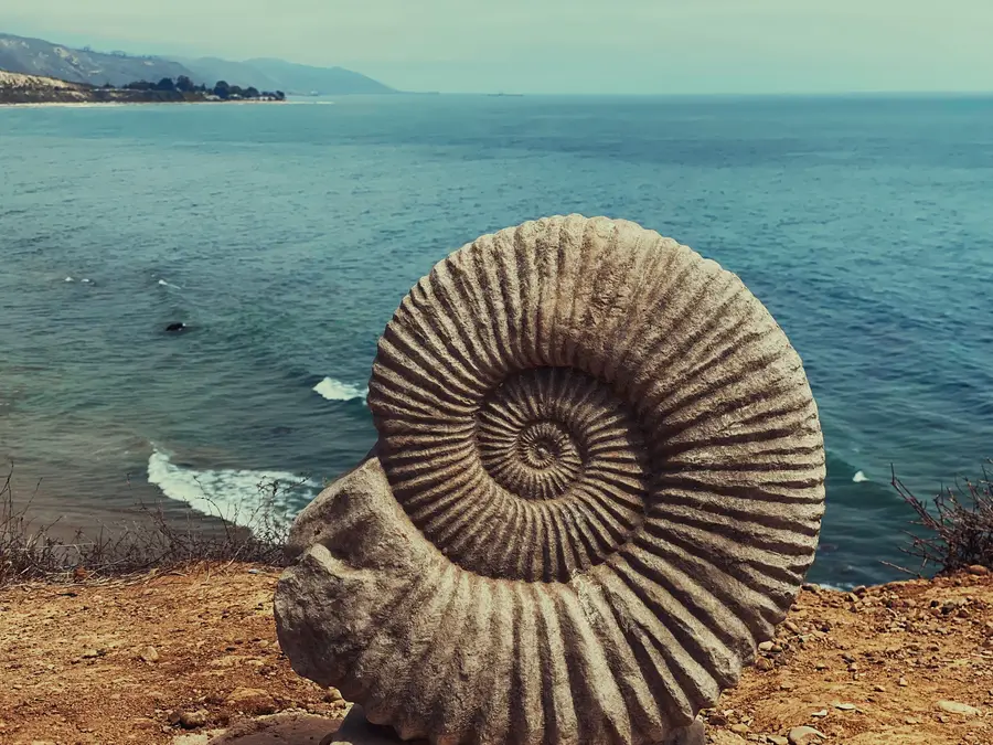 Fossil Tours In Morocco - Days Morocco Tours