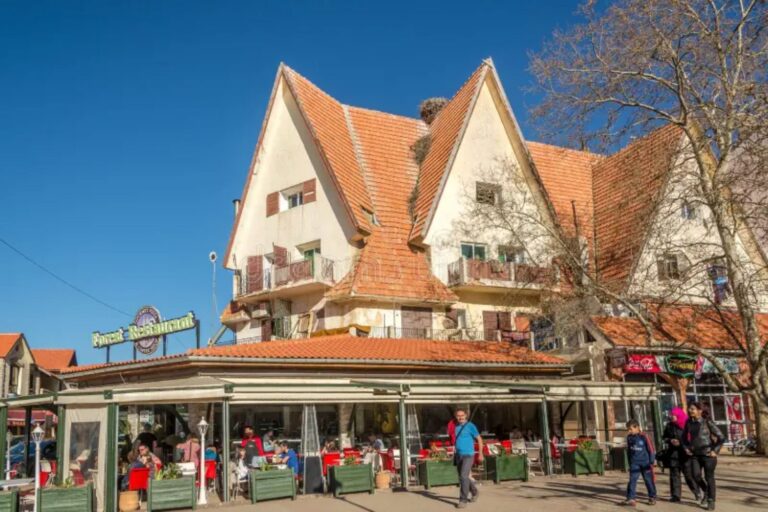 Best Things To Do In Ifrane Morocco | Travel Guide 2026
