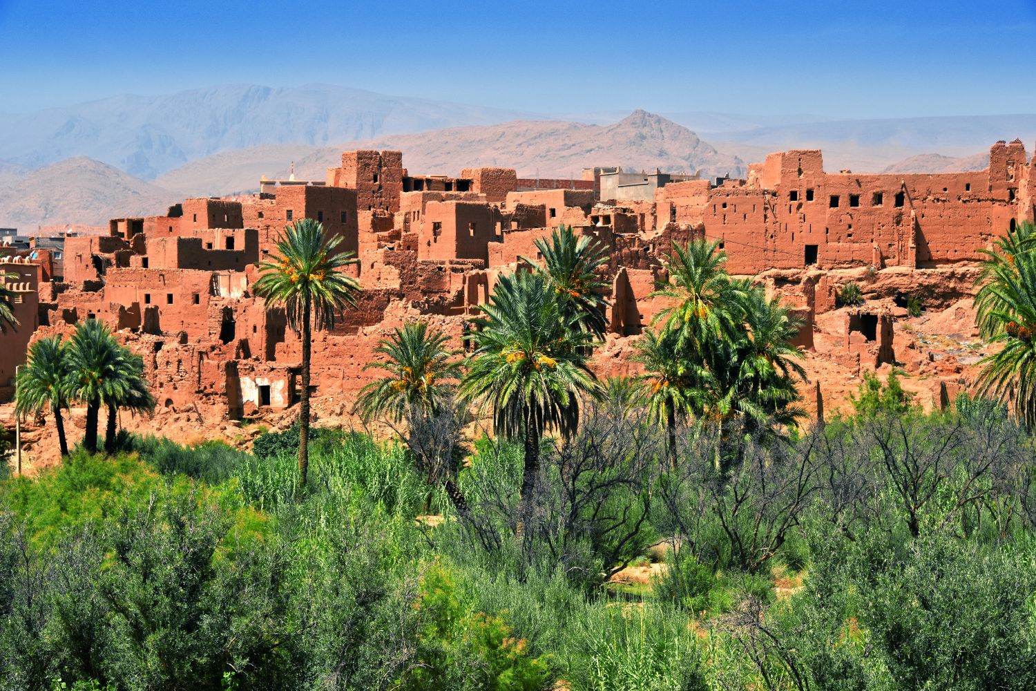 Valley Of Roses In Morocco: Map, Best Tours & Tips 2026